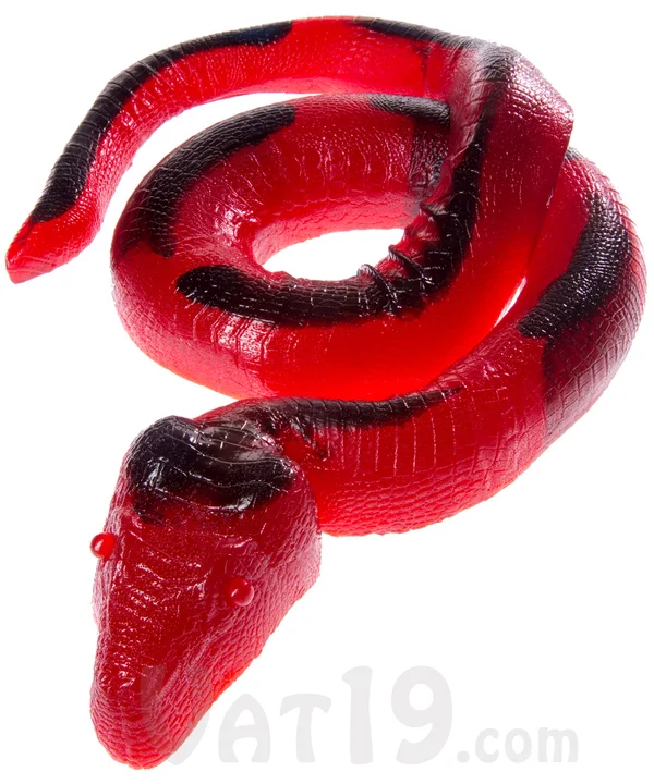 Edible Party Python Gummy A Birthday Favorite